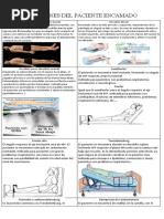 Posicion Flower Semiflower | PDF
