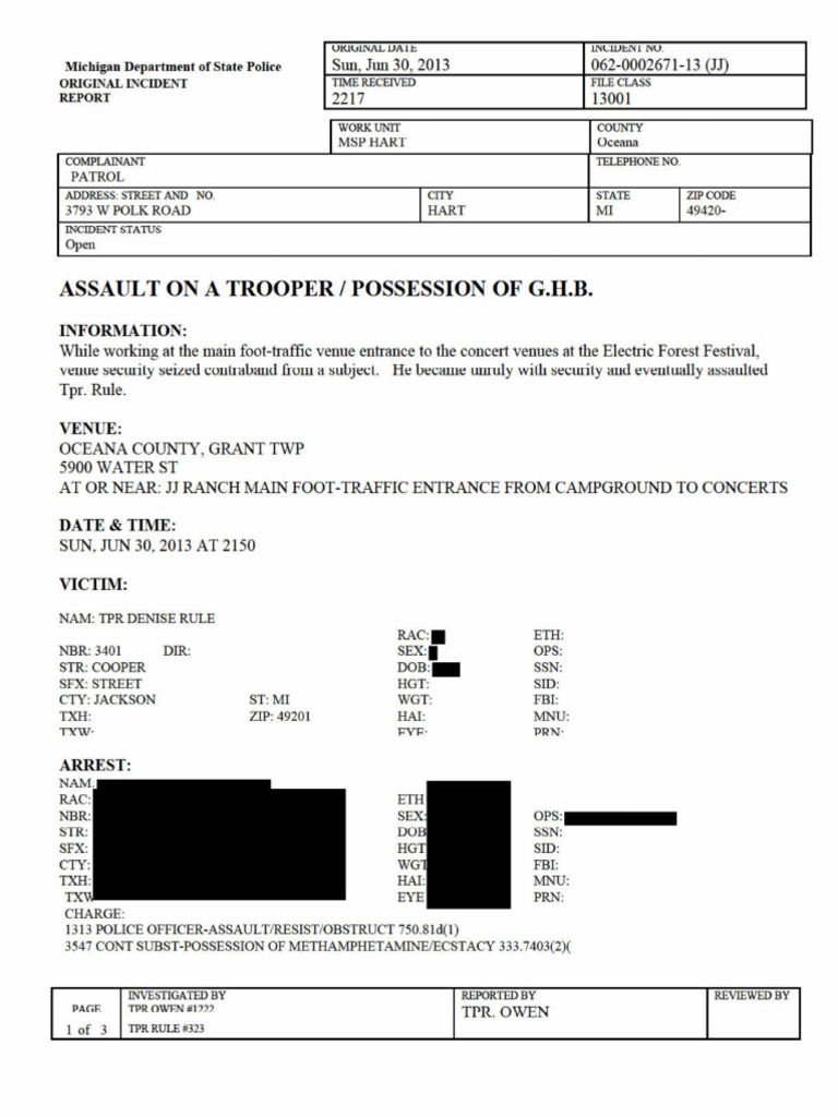 Electric Forest Police Report, No. 062-0002671-13 (JJ) | PDF | Criminal ...
