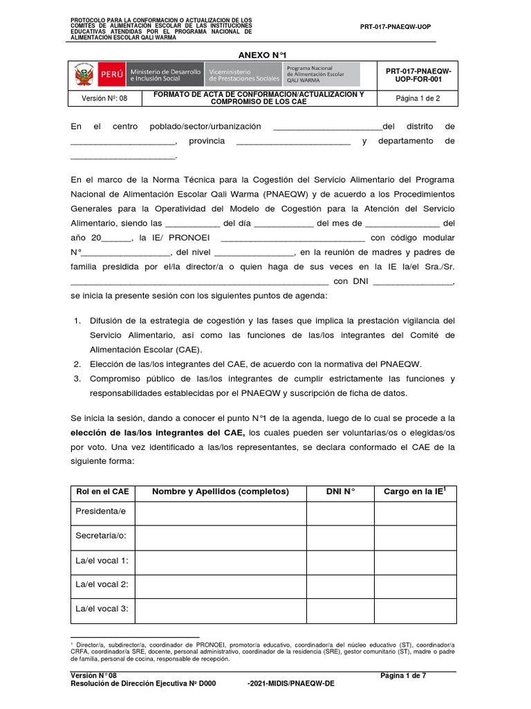Formatos Conformacion Cae 2022 - Protocolo Cae Rde 191 Del 30-07-21 | PDF | Privacidad de la ...