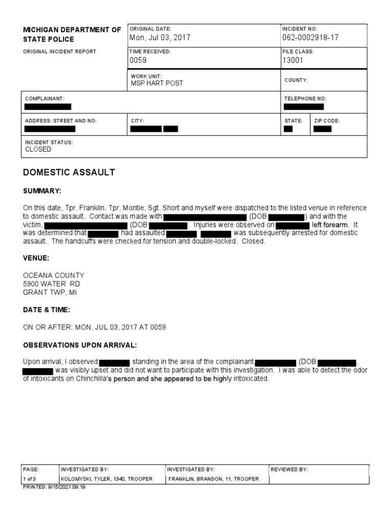 Electric Forest Police Report, No. 062-0002918-17 | PDF