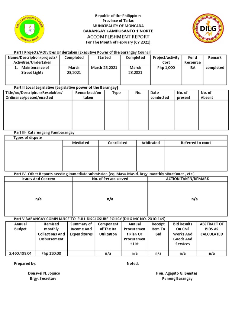 Barangay Monthly Accomplistment Report | PDF | Justice | Crime & Violence