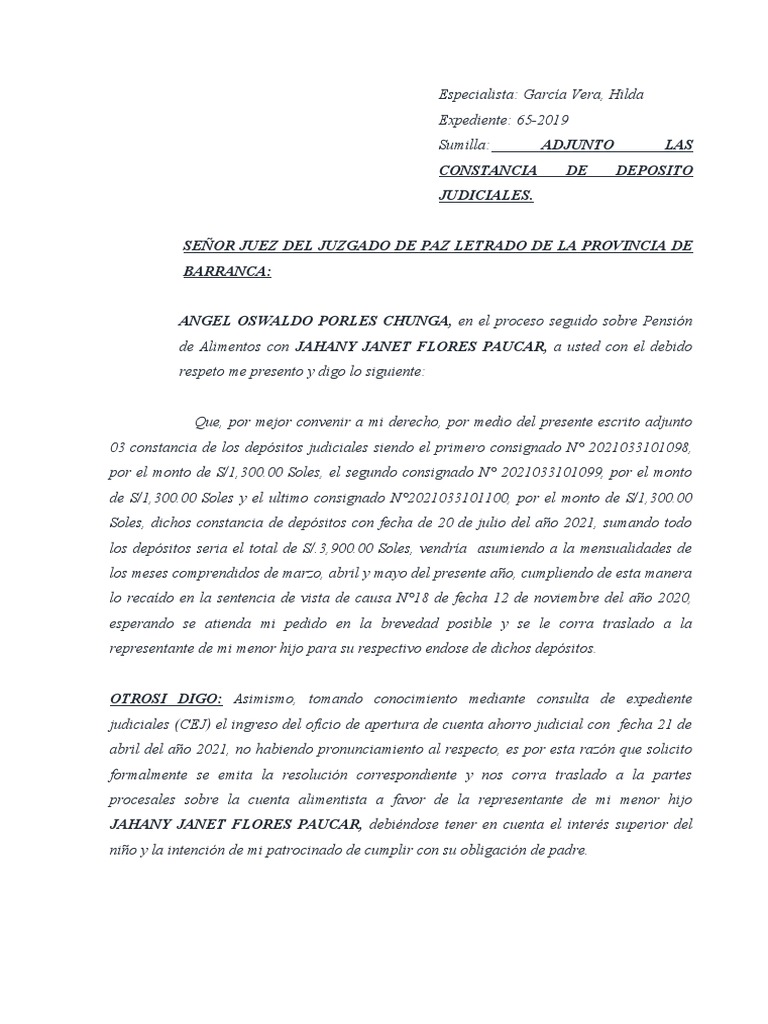Adjunto La Constancia de Deposito Judicial . | PDF | Justicia | Crimen y violencia