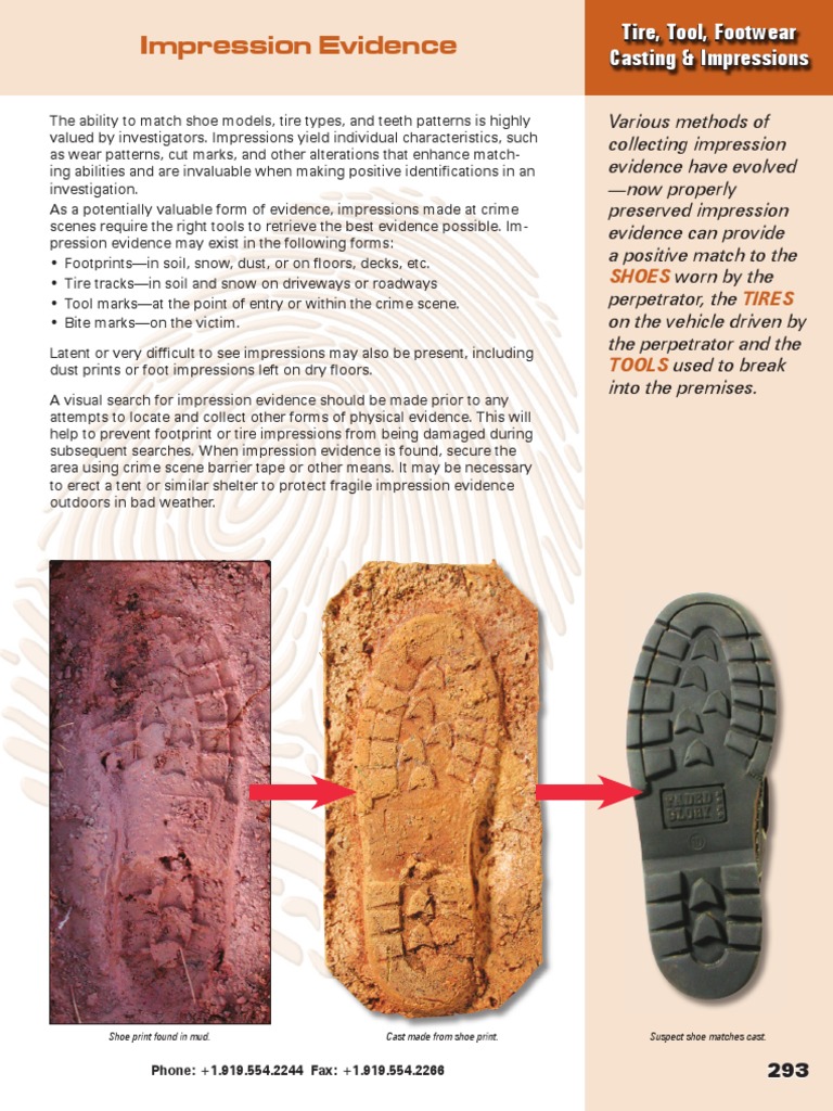 Impression Evidence: Shoes Tires | PDF | Plaster | Silicone
