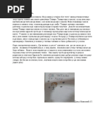 Jesen U Mom Kraju | PDF