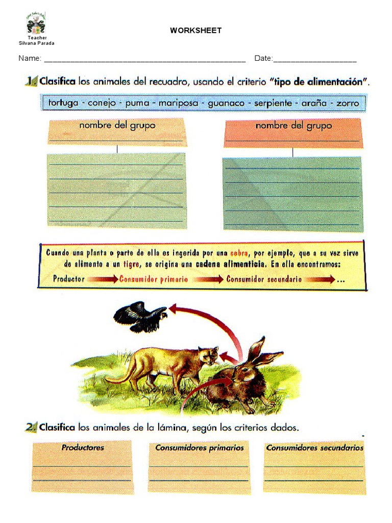 Worksheet Cadena Alimenticia | PDF