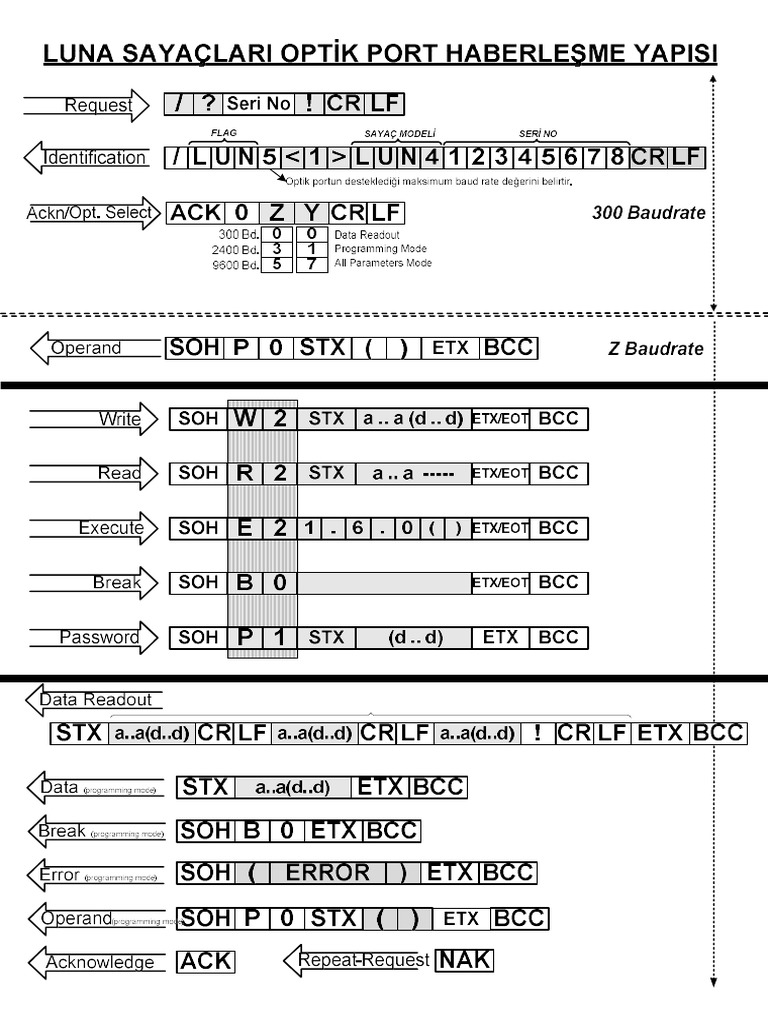 Turkish Luna Meters Communication Structure Readout | PDF