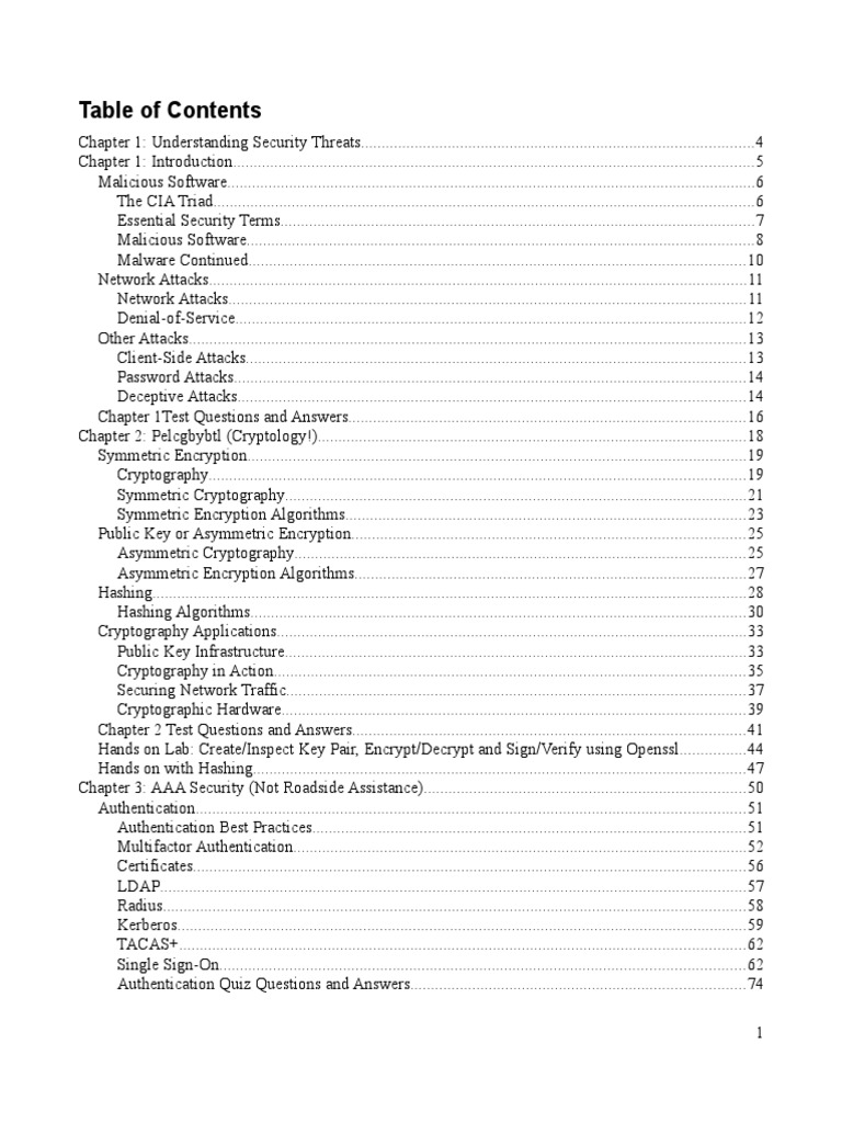 IT Security | PDF | Denial Of Service Attack | Malware