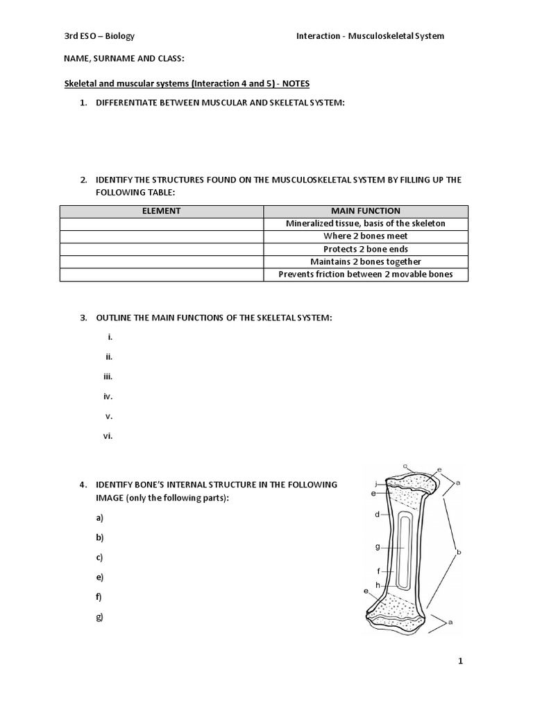 Skeletal and Muscular Systems (Interaction 4 and 5) - NOTES | Download ...