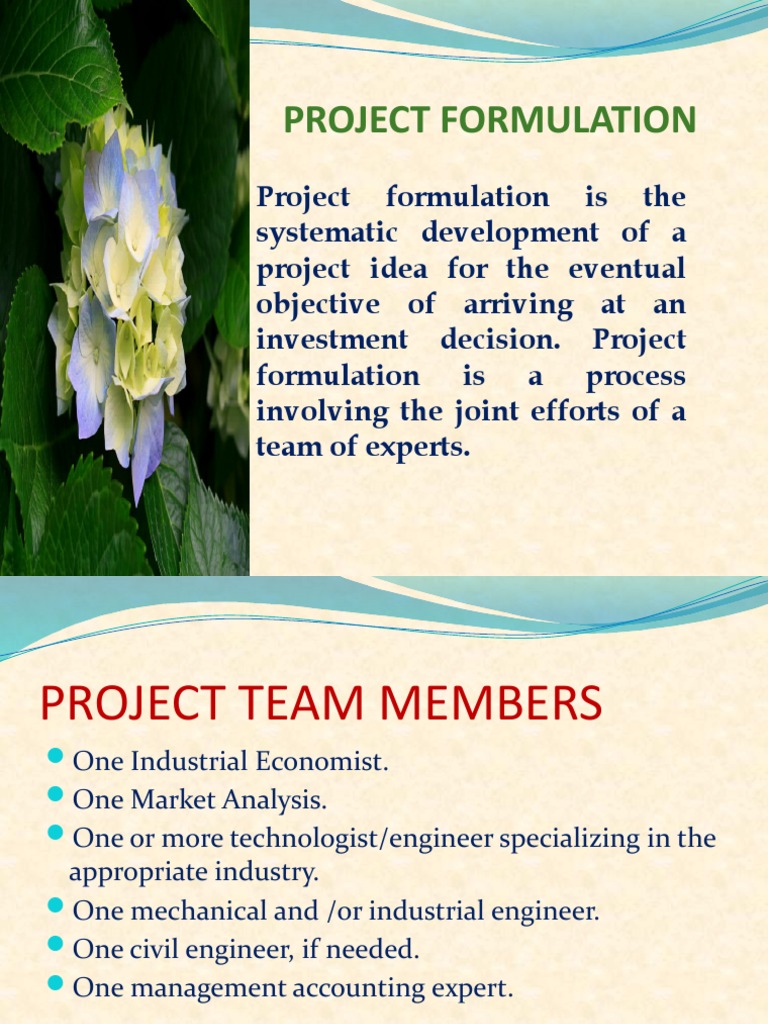 PROJECT FORMULATION