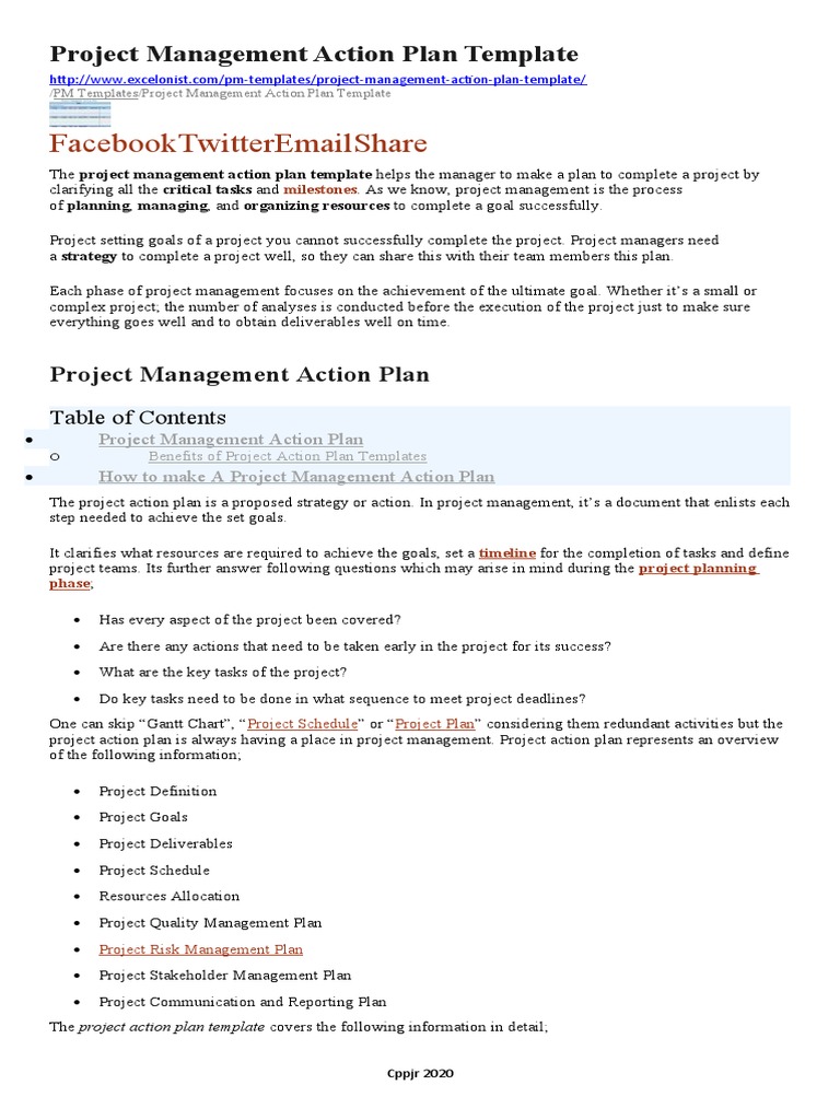 Project Management Action Plan Template | PDF | Project Management ...