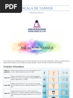 Escala de Tanner | PDF | Sistema reproductivo | Anatomia sexual