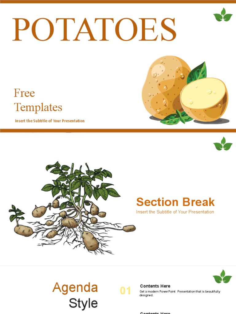 Potatoes: Free Templates | PDF | Page Layout | Microsoft Power Point