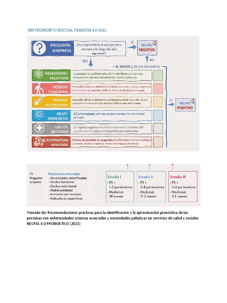 Recomendaciones NECPAL 4.0 pronóstico personas enfermedades crónicas | PDF