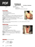 Protocolo de Lyon para Tomografia de Joelho | PDF