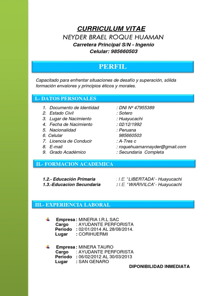 Curriculum Vitae Walter | PDF