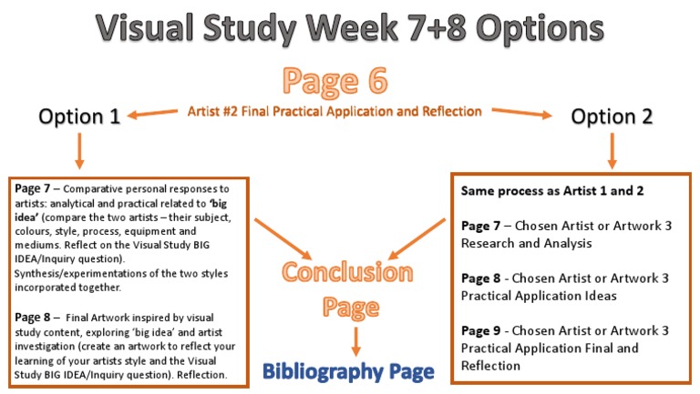 Visual Study Week 7 8 Options | PDF