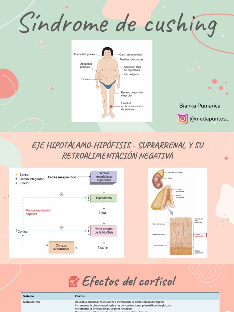 Síndrome de Cushing | PDF | Especialidades Medicas | Enfermedades y trastornos