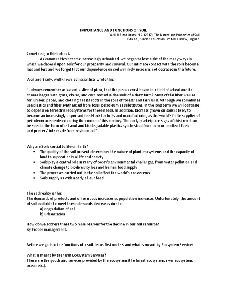 Key Roles of Soil in Ecosystems | PDF | Ecosystem | Soil