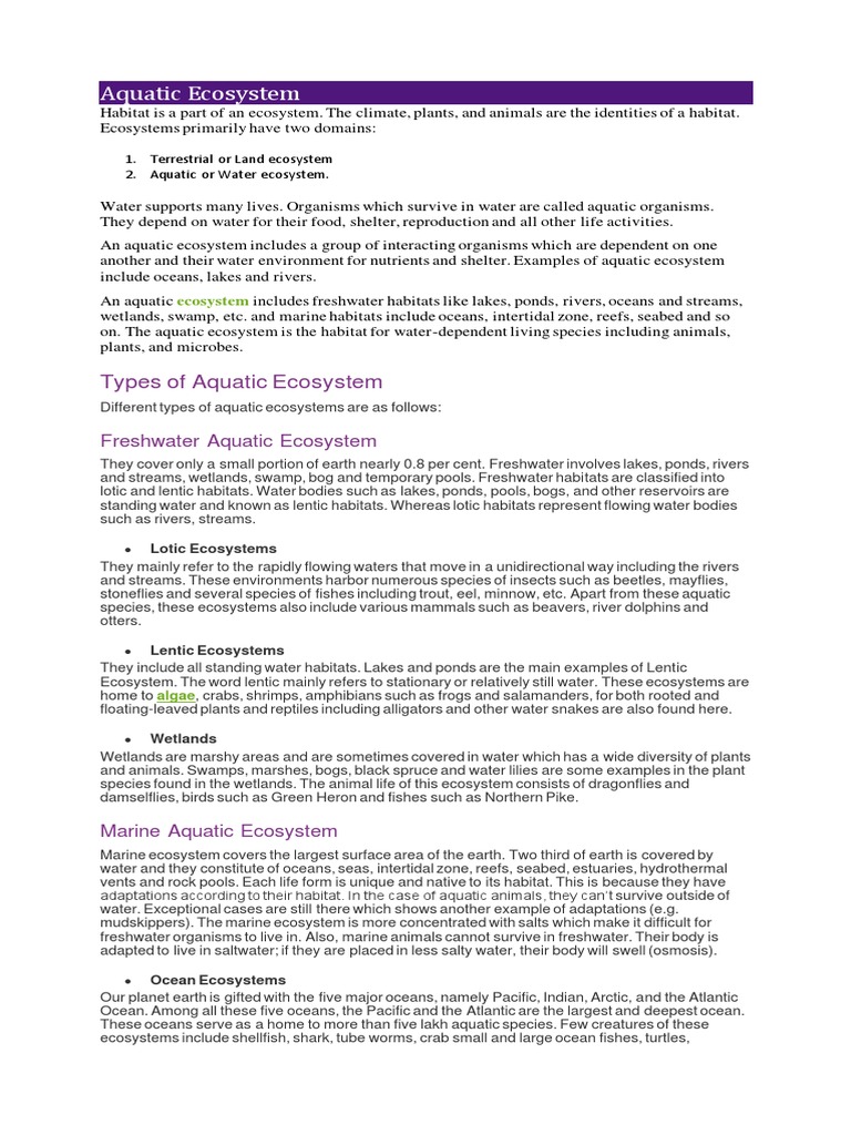 Types of Aquatic Ecosystems Explained | PDF | Aquatic Ecosystem | Habitat
