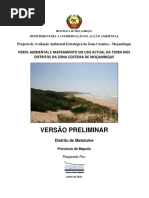 Importância Dos Mangais para o Meio Ambiente | PDF | Mangue | Ambiente ...