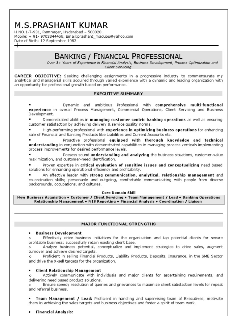 Prashant C V | PDF | Career & Growth