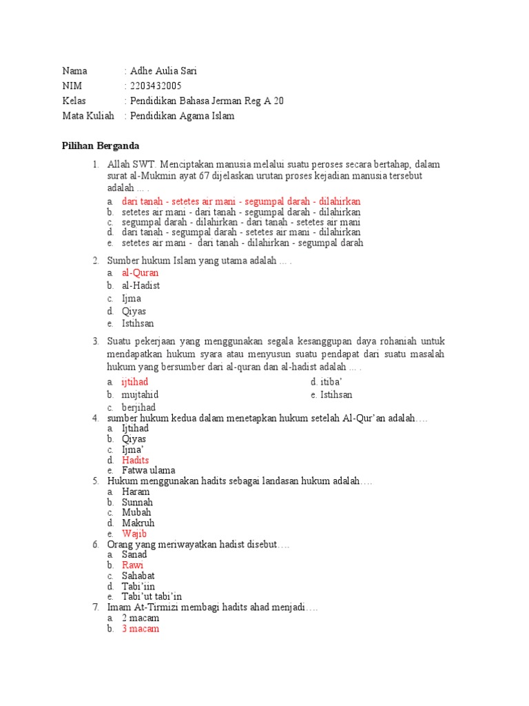 Uts Pai Adhe Aulia | PDF | Dewasa Muda