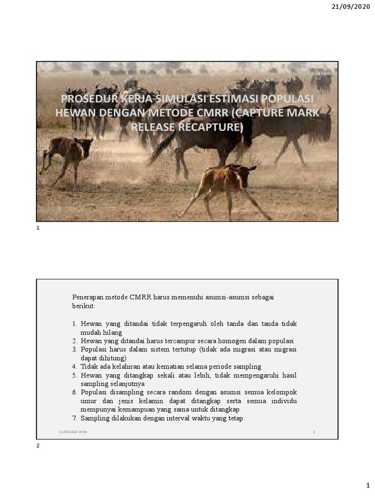 Simulasi Estimasi Populasi CMRR | PDF