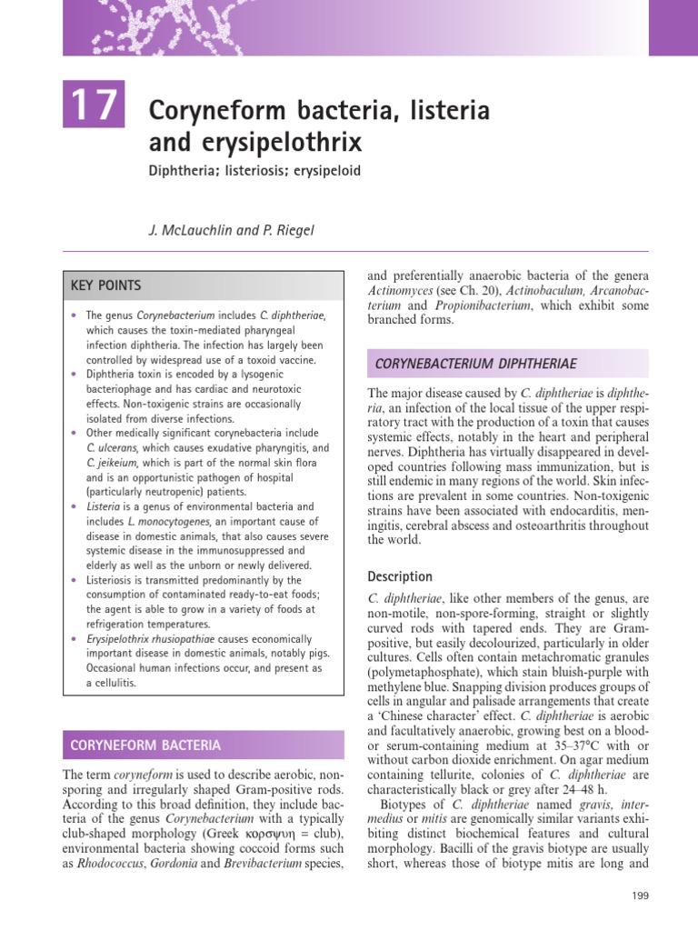 Coryneform Bacteria, Listeria and Erysipelothrix: Diphtheria ...