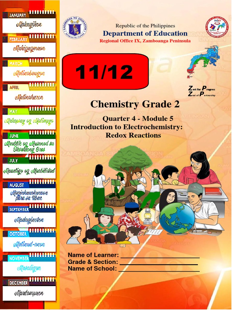 Grade 2 Chemistry: Redox Reactions Module | PDF | Redox | Chemical ...