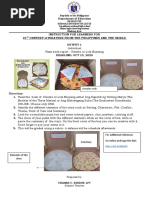 COE Deped Template | PDF | Wellness