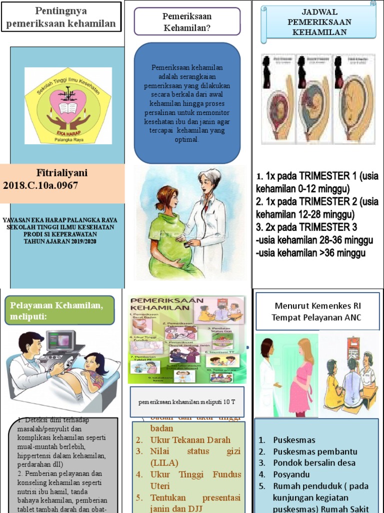 Leaflet Pemeriksaan Kehamilan | PDF