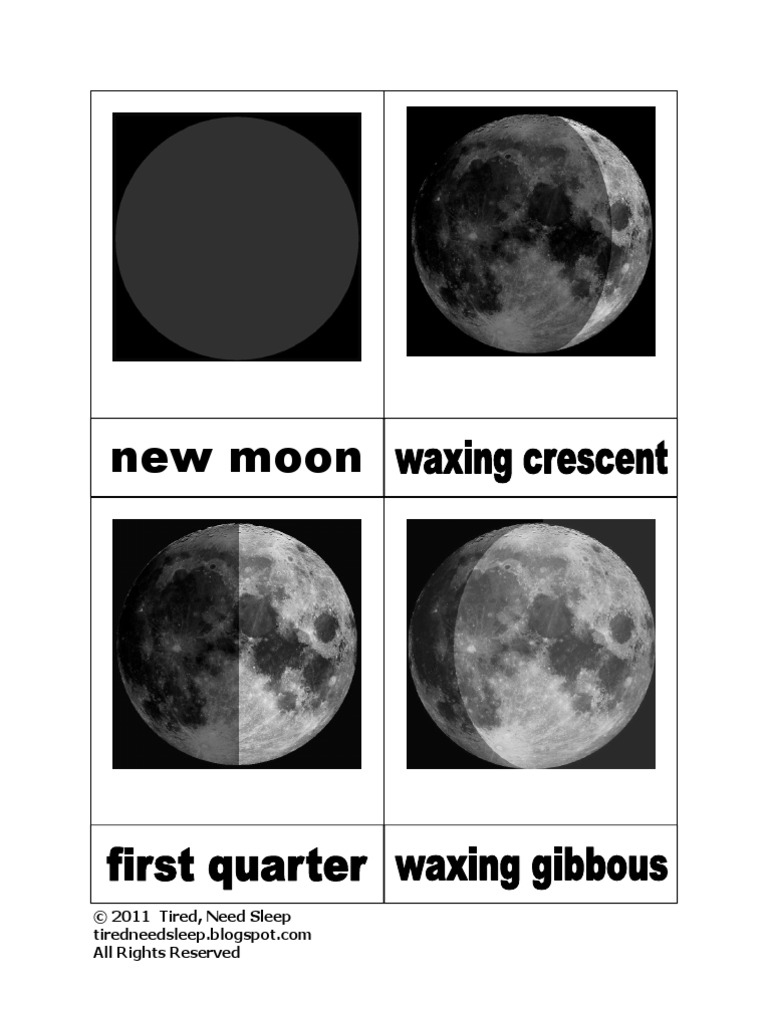 Moon Phases 3-Part Cards | PDF