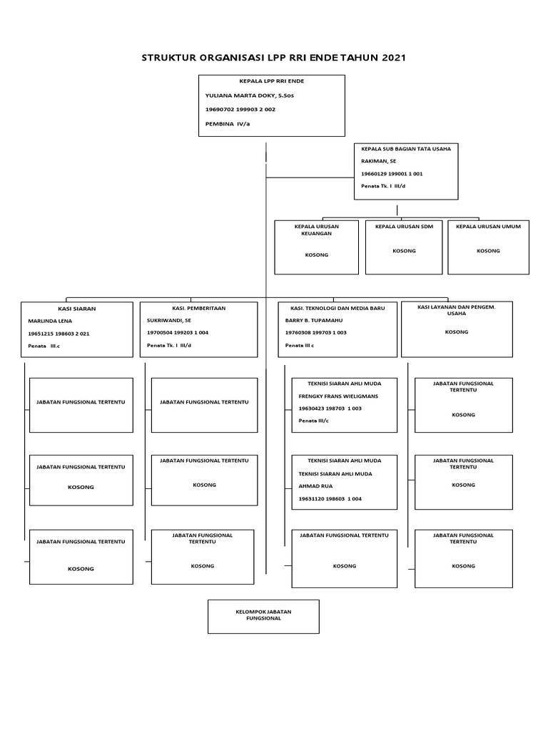 Organisasi Struktur LPP | PDF