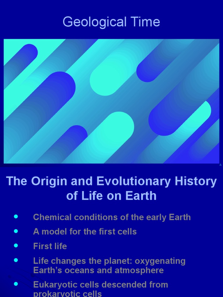 History of Life on Earth Overview | PDF | Stratigraphy | Nature
