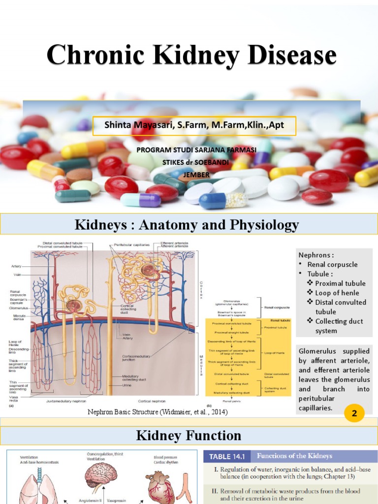 An Overview of Chronic Kidney Disease: Pathogenesis, Clinical ...