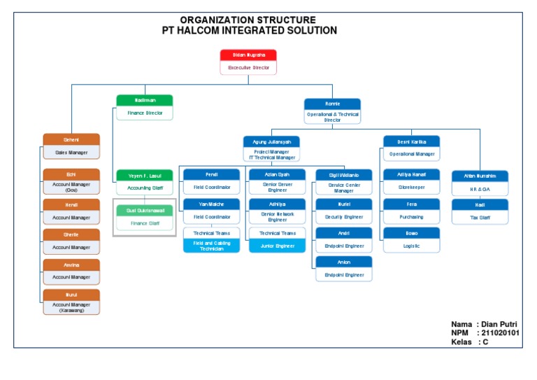 Organization Structure PT Halcom Integrated Solution: Finance Director | PDF