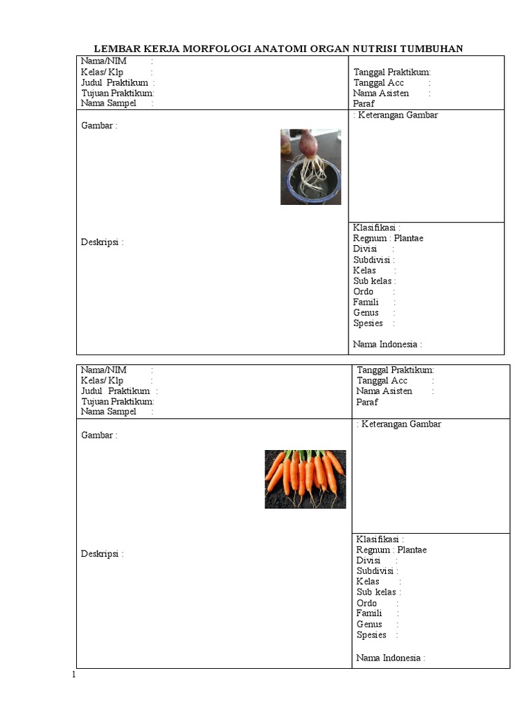 LK BOTANI Organ Nutrisi DLM PDF | PDF