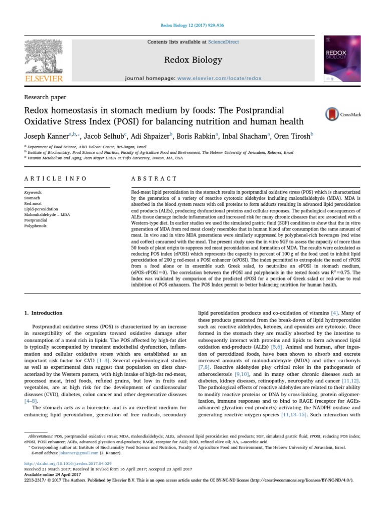 Redox Homeostasis in Stomach Medium by Foods The P | PDF | Lipid ...