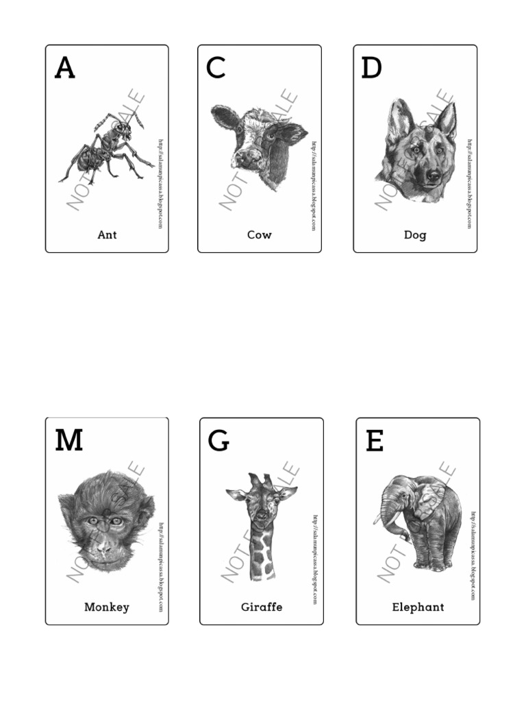 Animal 4D Free Cards | PDF