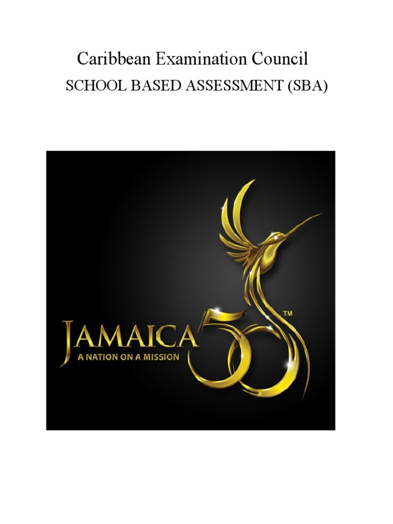 Information Technology Sba | PDF