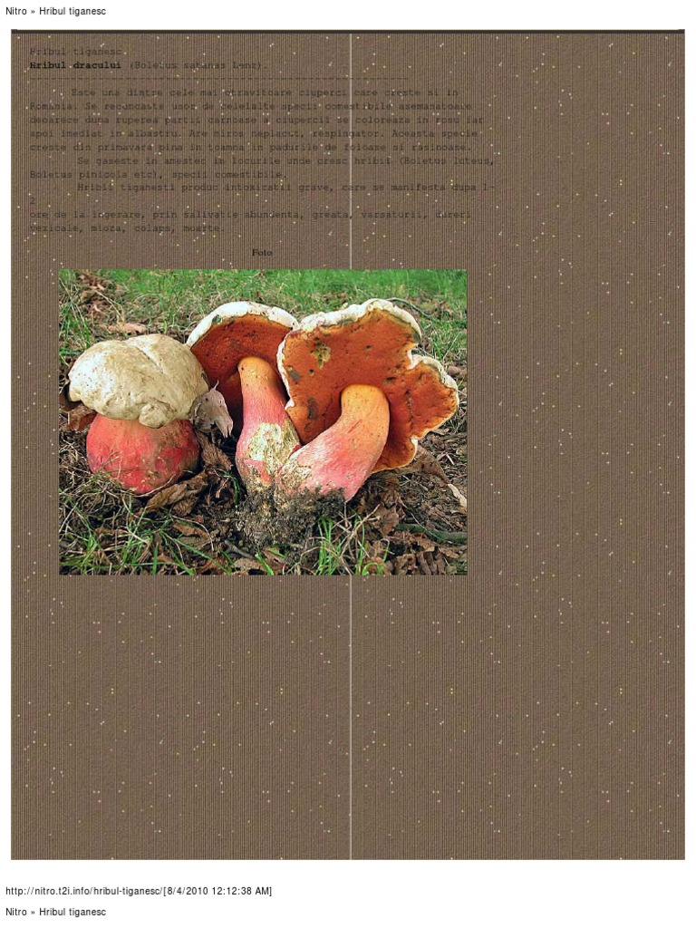 Nitro Hribul Tiganesc | PDF