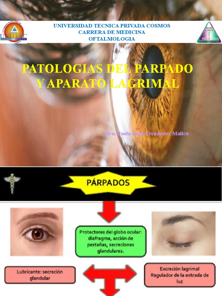 Enfermedades Del Parpado y Via Lagrimal | PDF