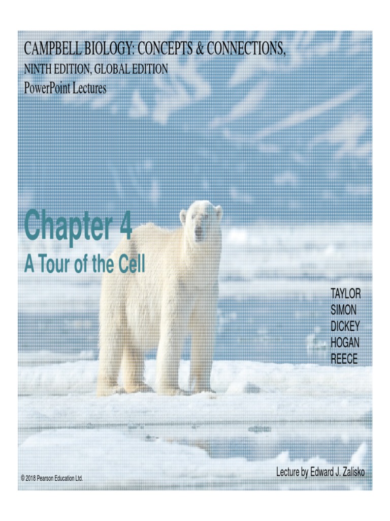 A Tour of The Cell: Campbell Biology: Concepts & Connections | PDF ...