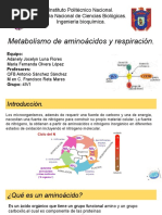 Monoterpenos: Estructura y Ejemplos | PDF | Compuestos orgánicos | Química