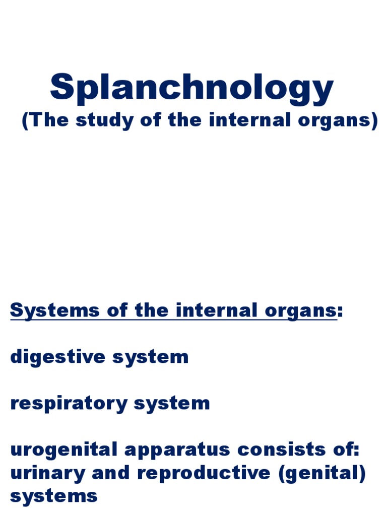 Overview of Splanchnology and Organs | PDF | Human Digestive System ...