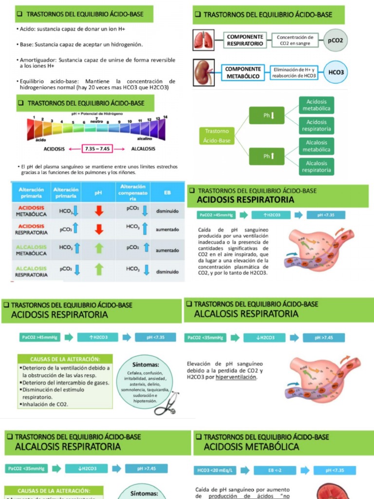 Alcalosis y Acidosis | PDF