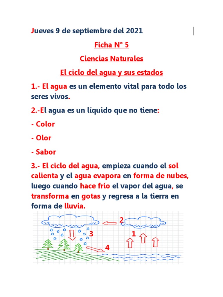 Ficha del Ciclo del Agua para Quinto Grado | PDF