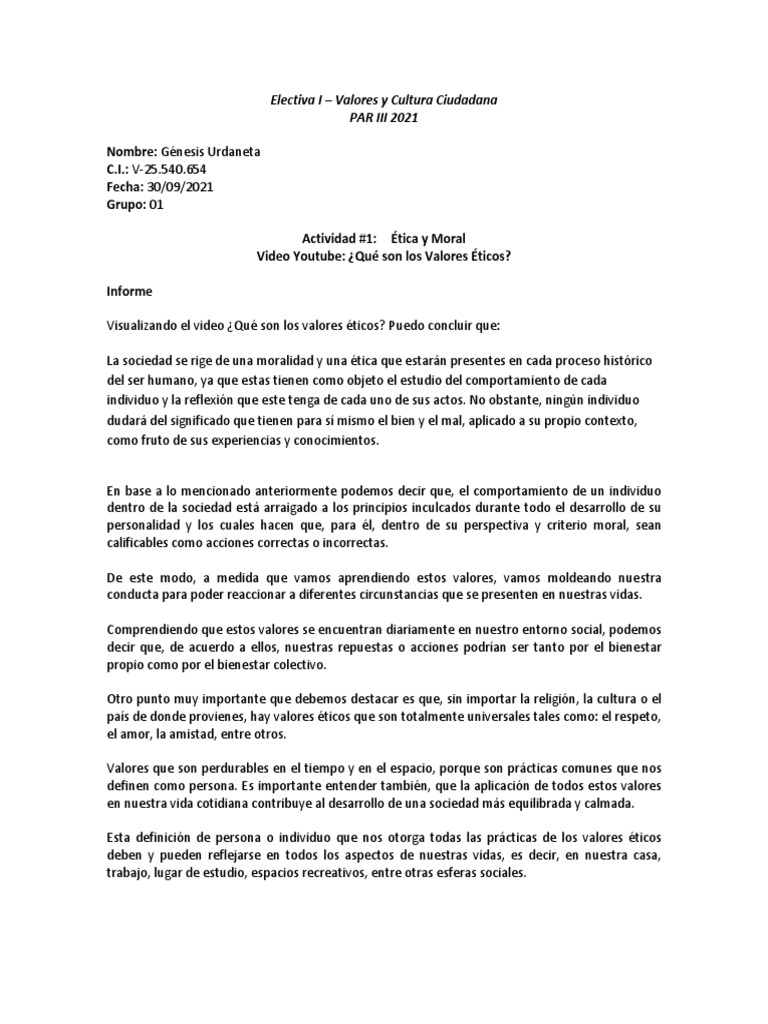 Electiva I - Informe - Genesis Urdaneta | PDF