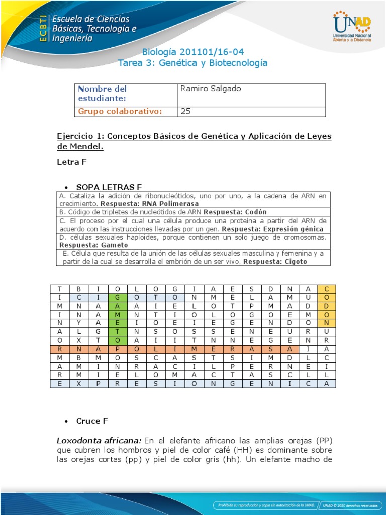 Anexo 3 Tarea 3 | Descargar gratis PDF | Gene | Rna