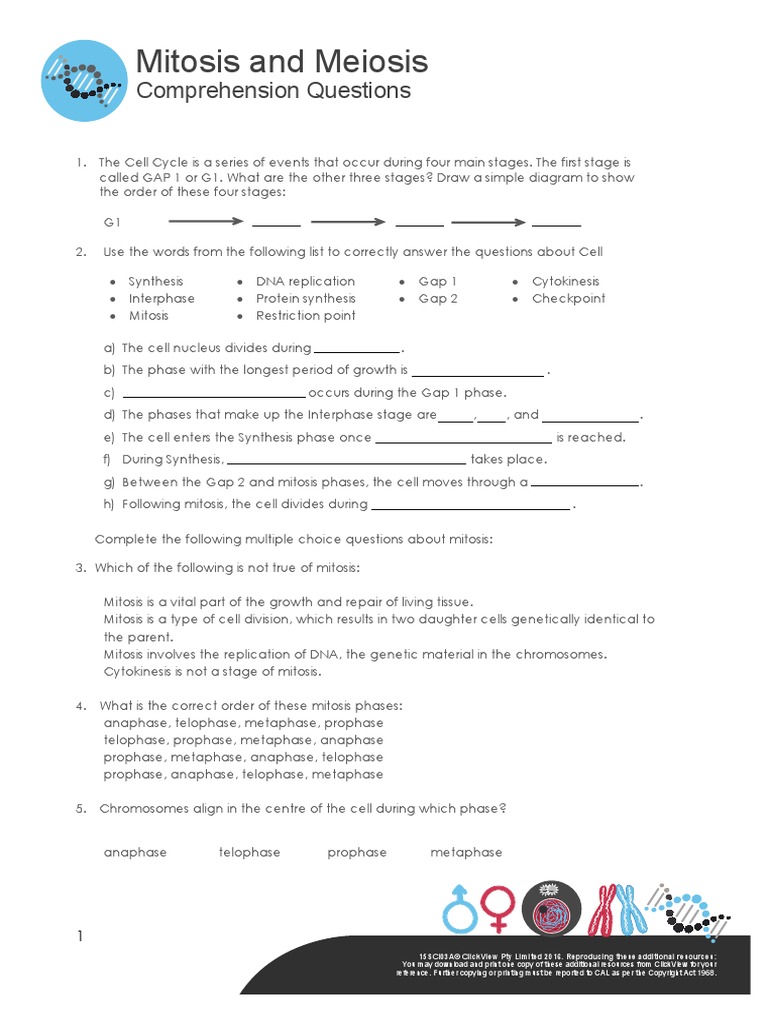 Mitosis and Meiosis: Comprehension Questions | Download Free PDF ...